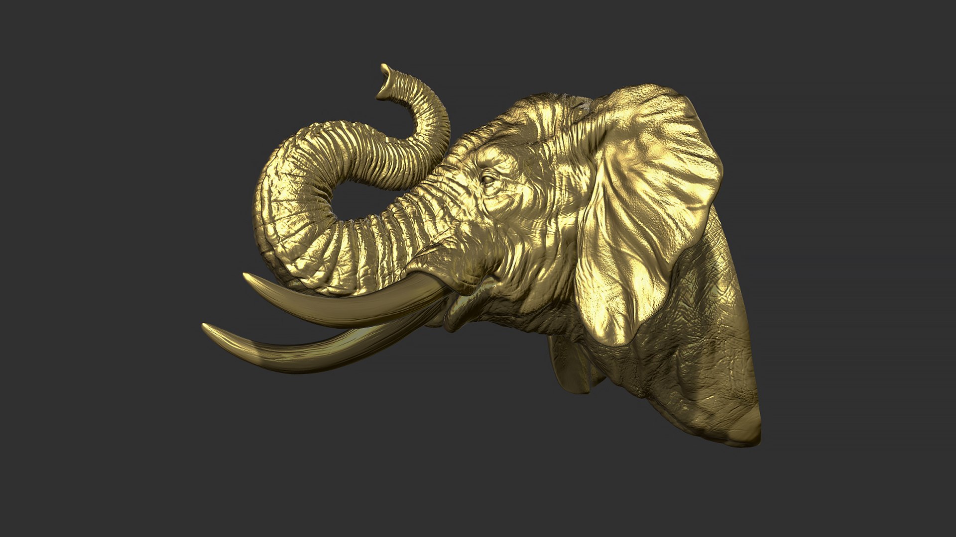 3D Elephant Raised Its Trunk Model - TurboSquid 2018701