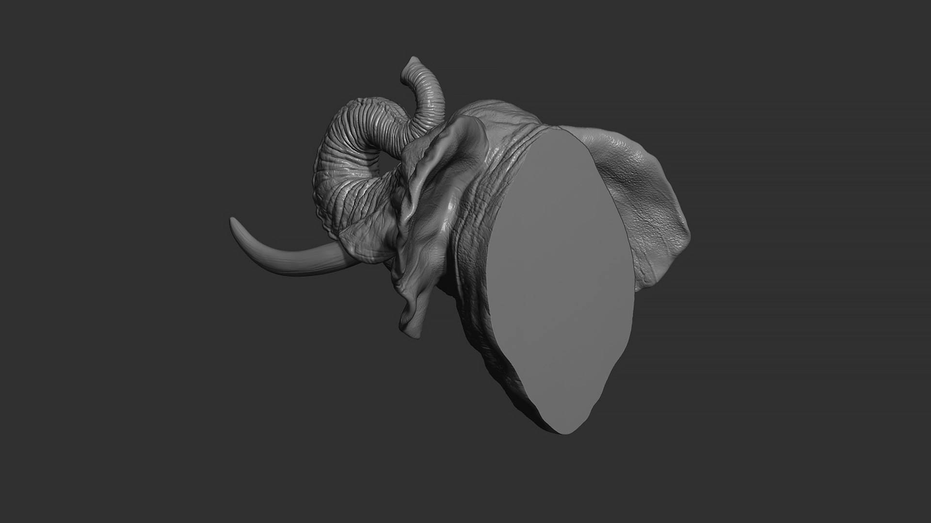 3D Elephant Raised Its Trunk Model - TurboSquid 2018701
