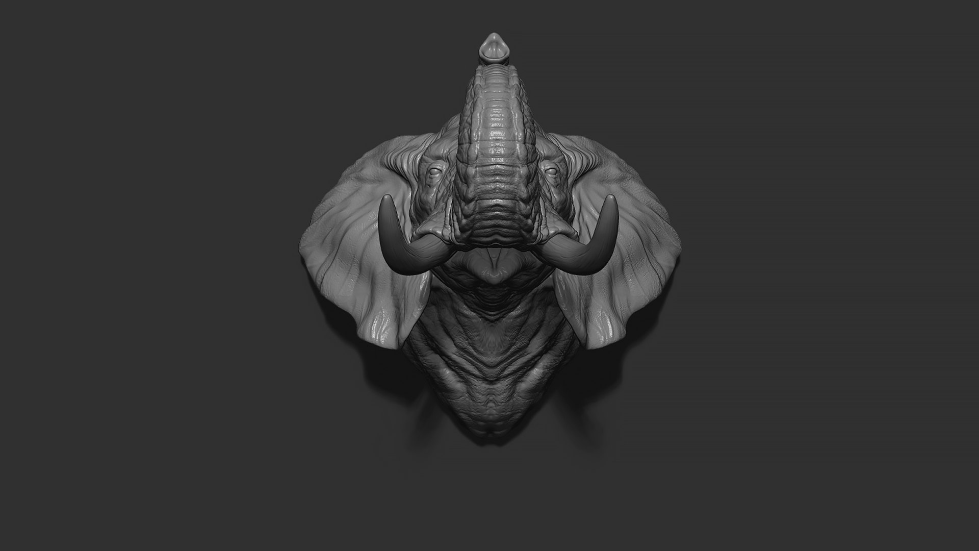 3D Elephant Raised Its Trunk Model - TurboSquid 2018701