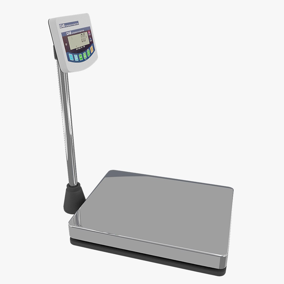 3d Scale Platform Model