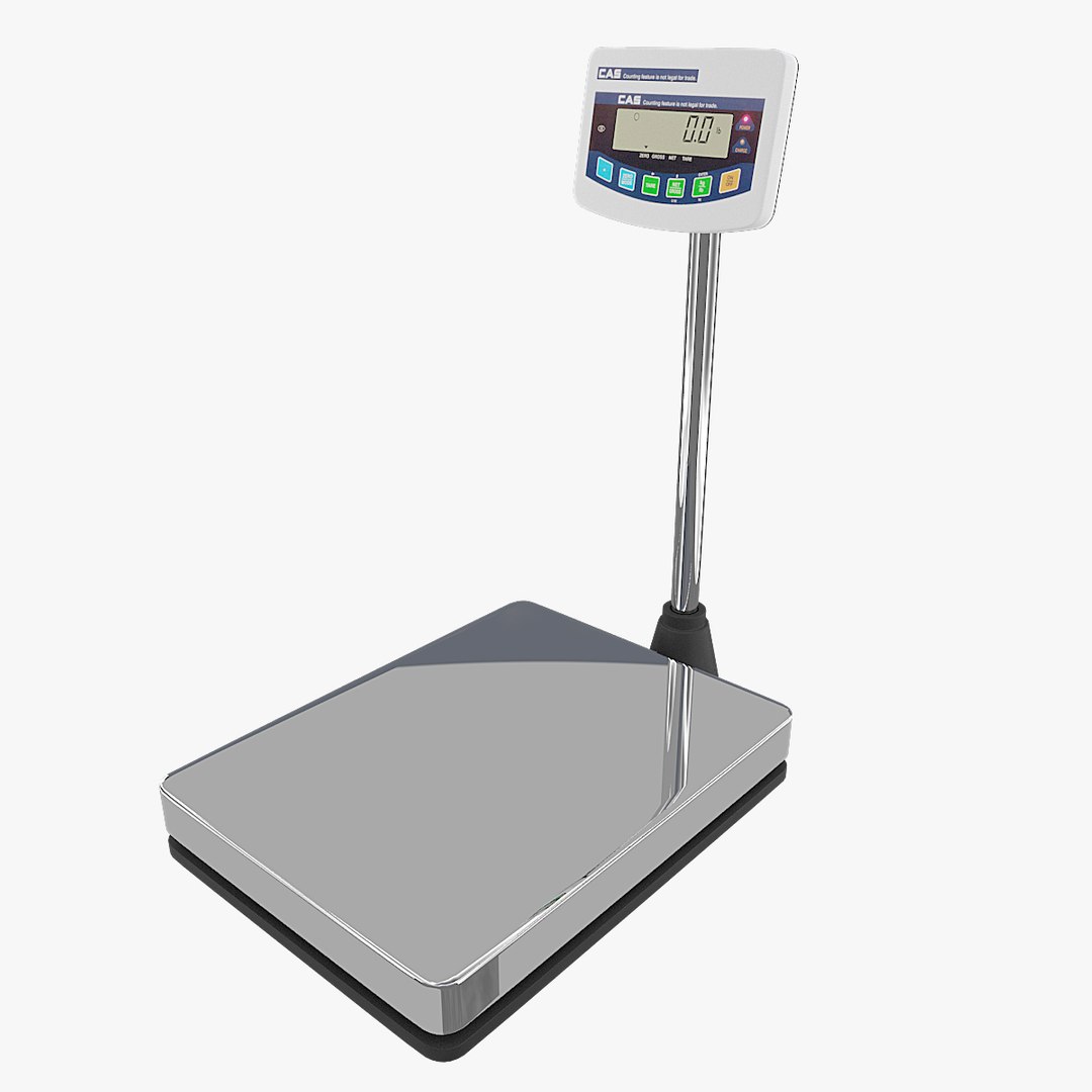 3d Scale Platform Model