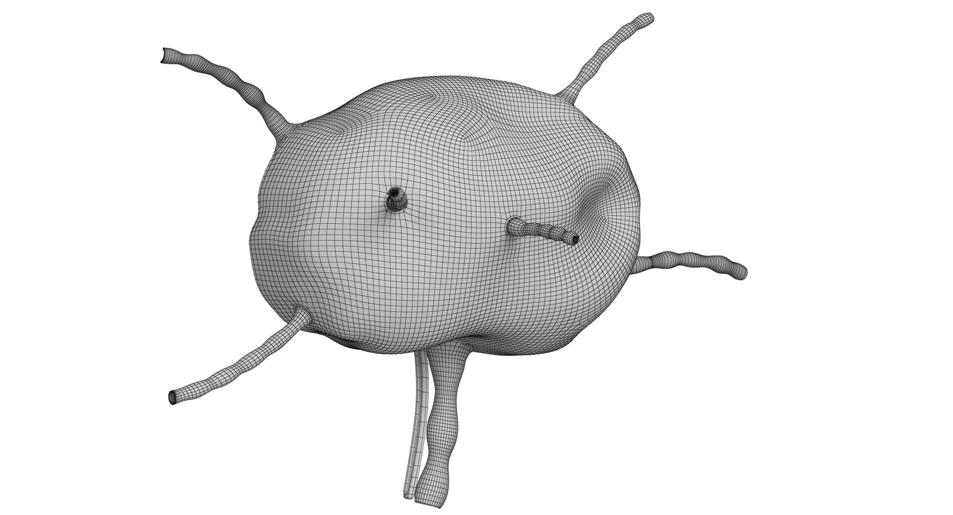 Lymph Node 3D Model - TurboSquid 2307345