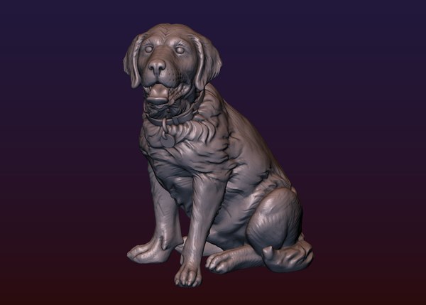 Labrador 3D print model - TurboSquid 1872376