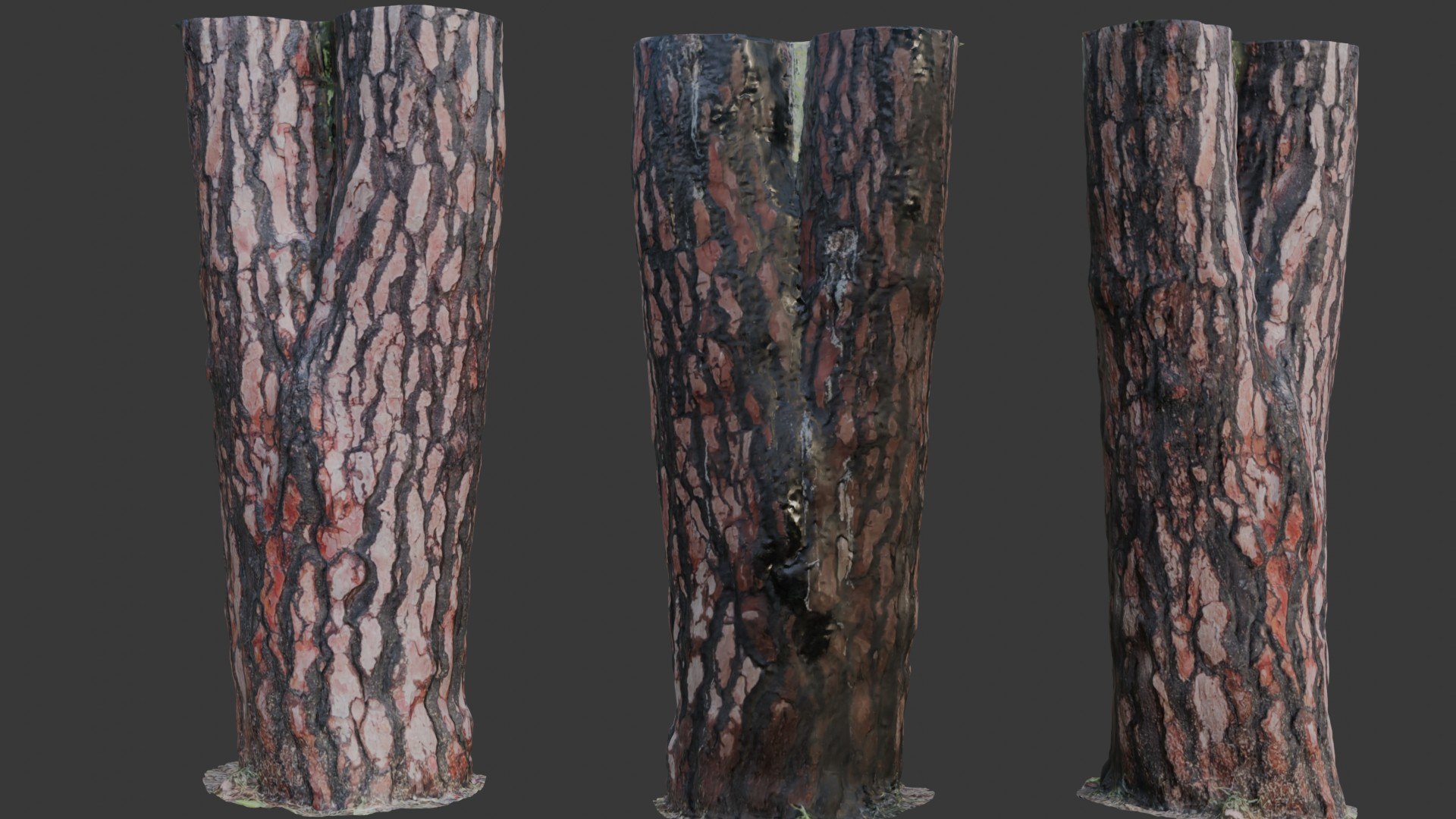 Pine Tree Trunk 3D Scan - TurboSquid 2395494