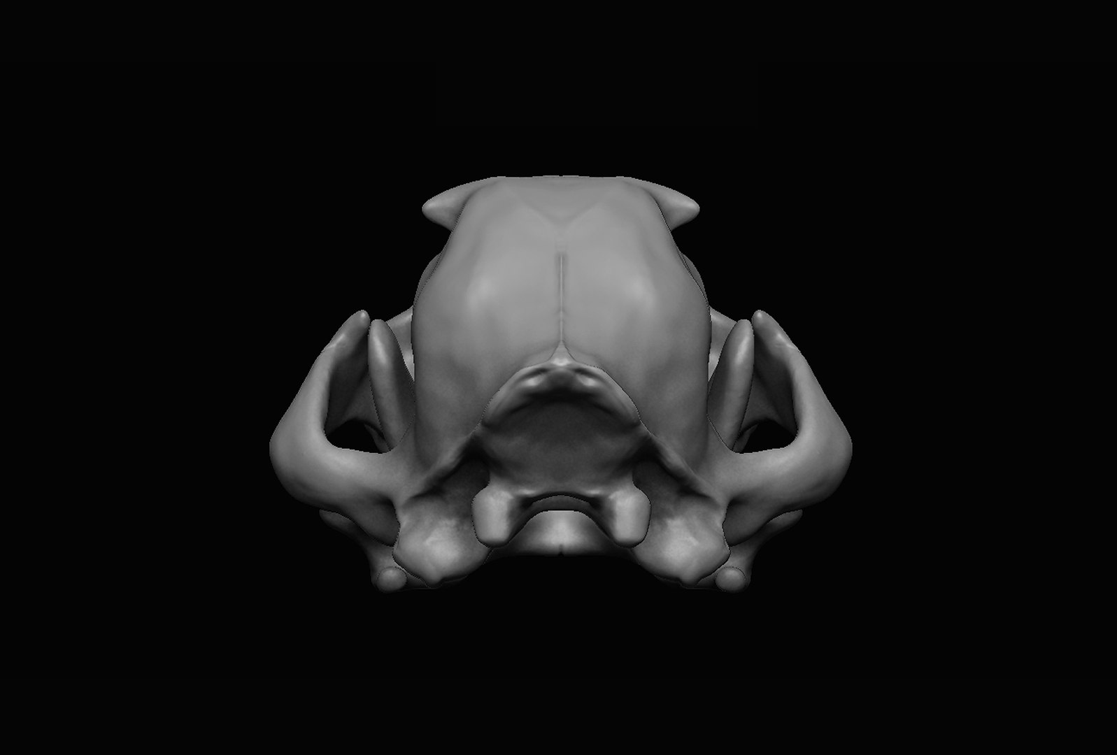 Lion Skull 3D Model - TurboSquid 1642573