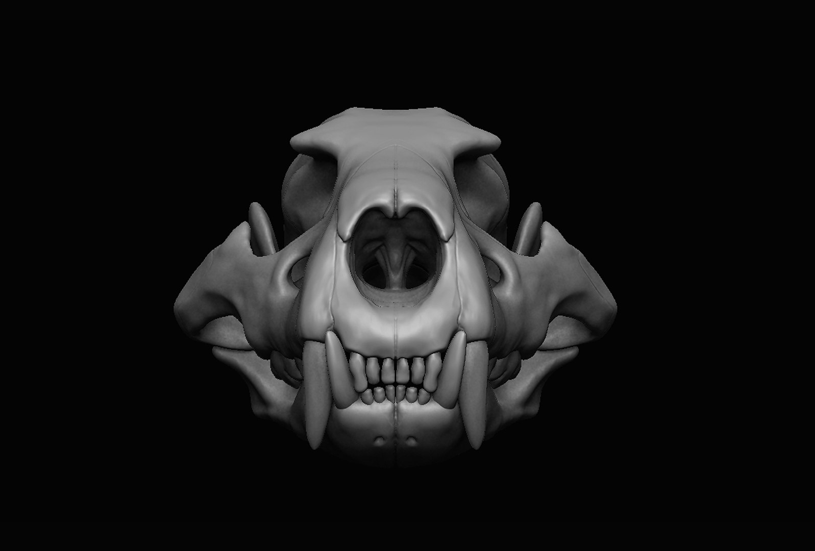 Lion Skull 3D Model - TurboSquid 1642573