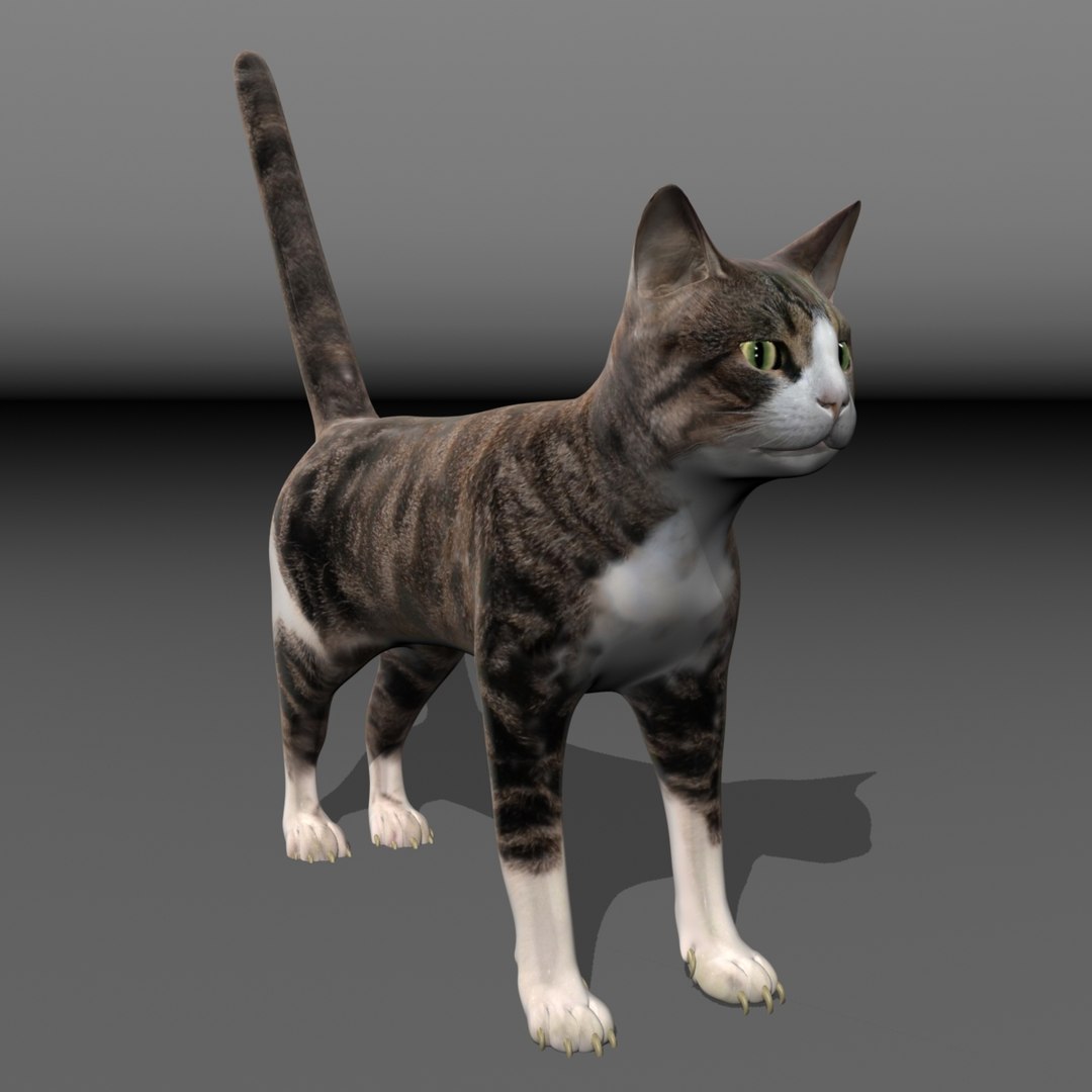 Cat Rigging Obj