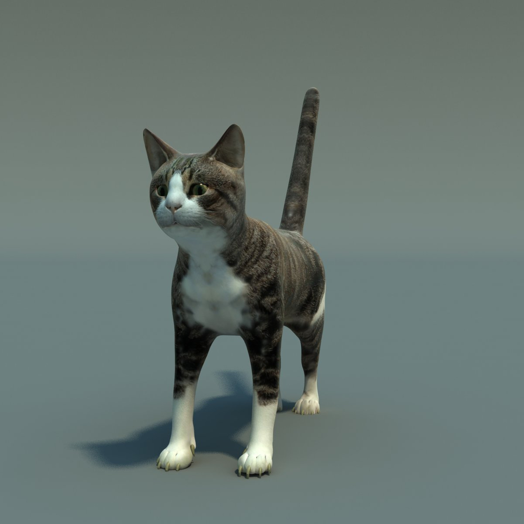 Cat Rigging Obj