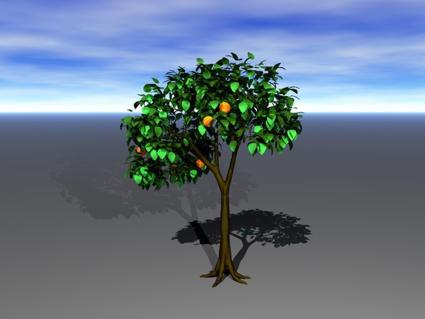 orange tree 3d model