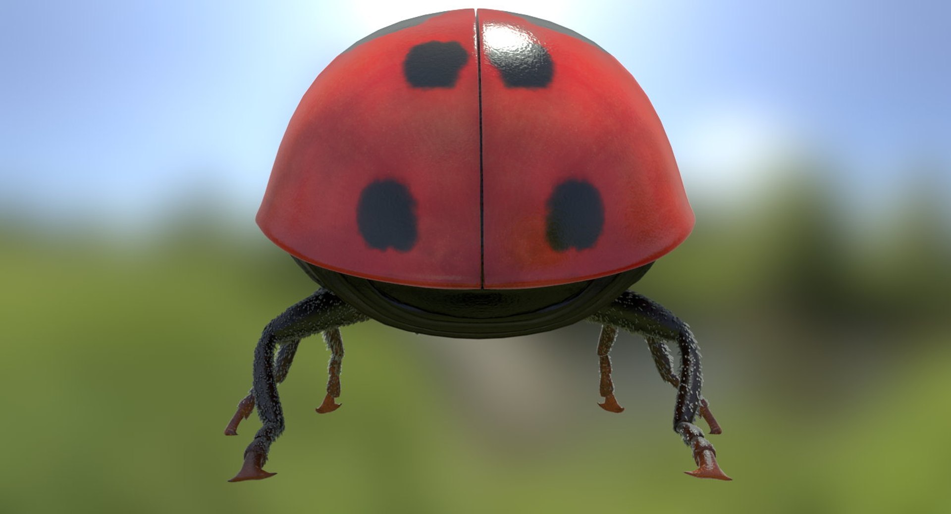 3d rigged ladybug model