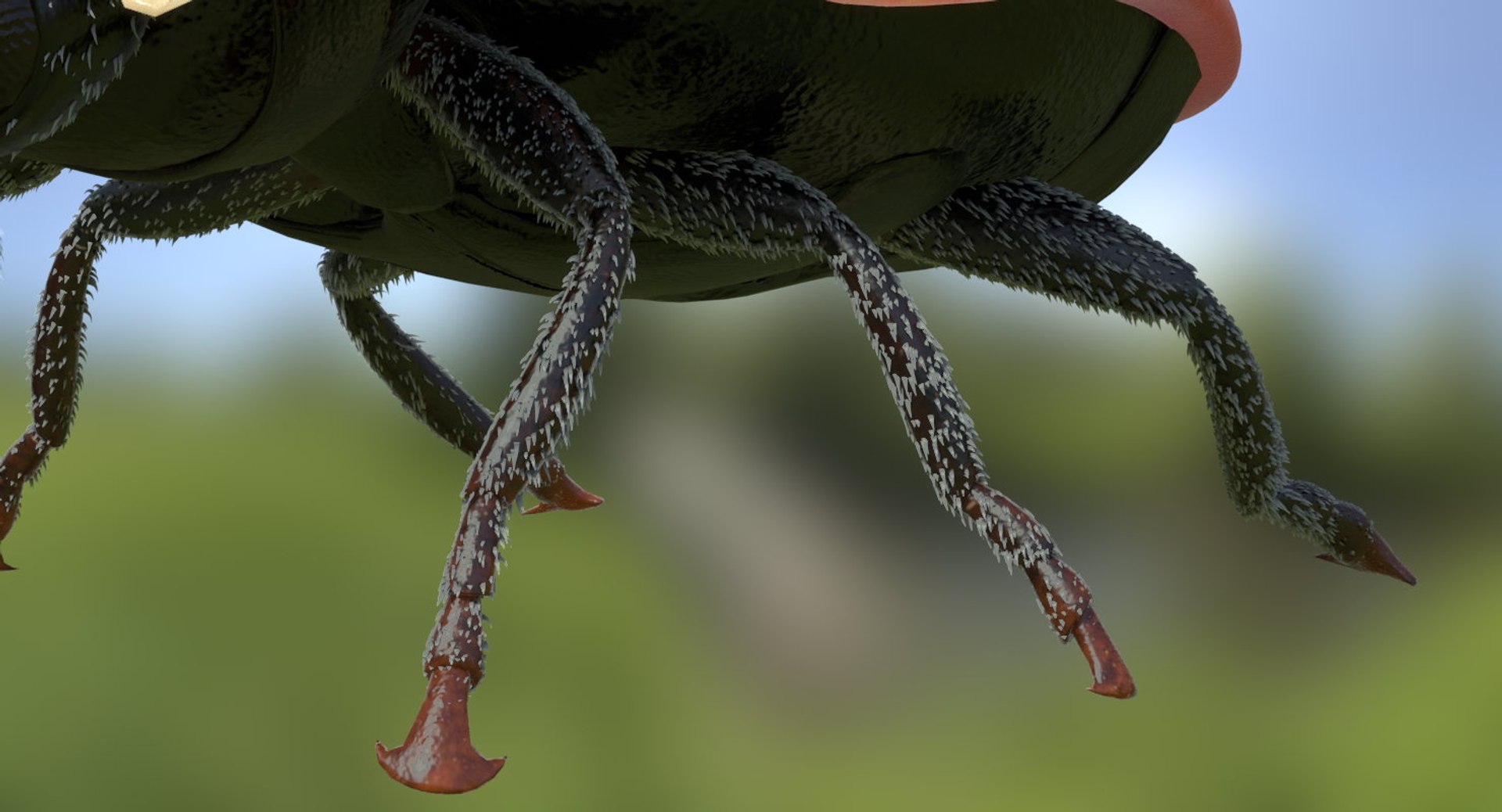 3d rigged ladybug model
