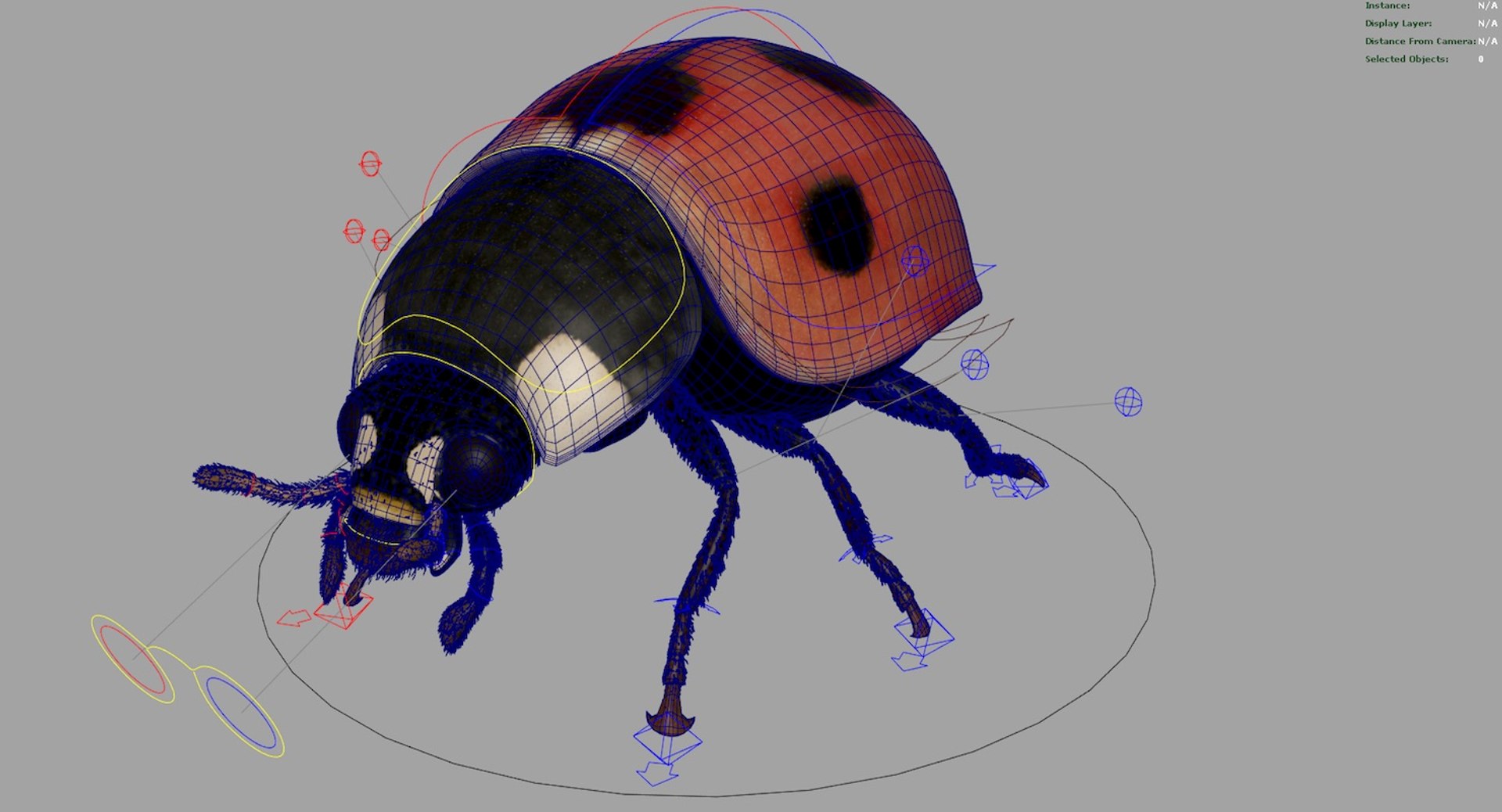 3d rigged ladybug model