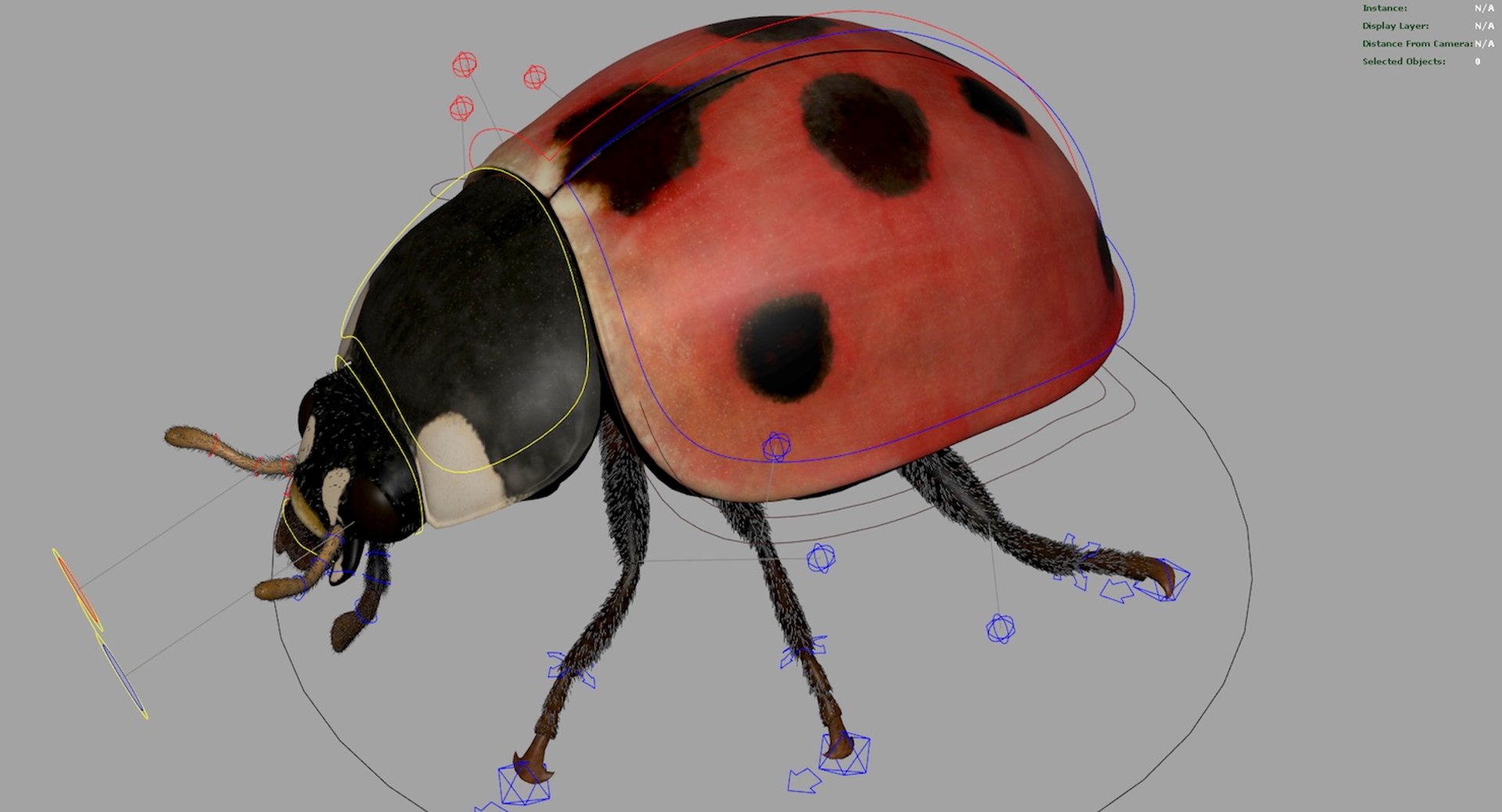 3d rigged ladybug model