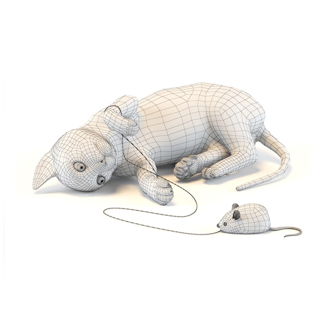 3D Cat Model - TurboSquid 1201256