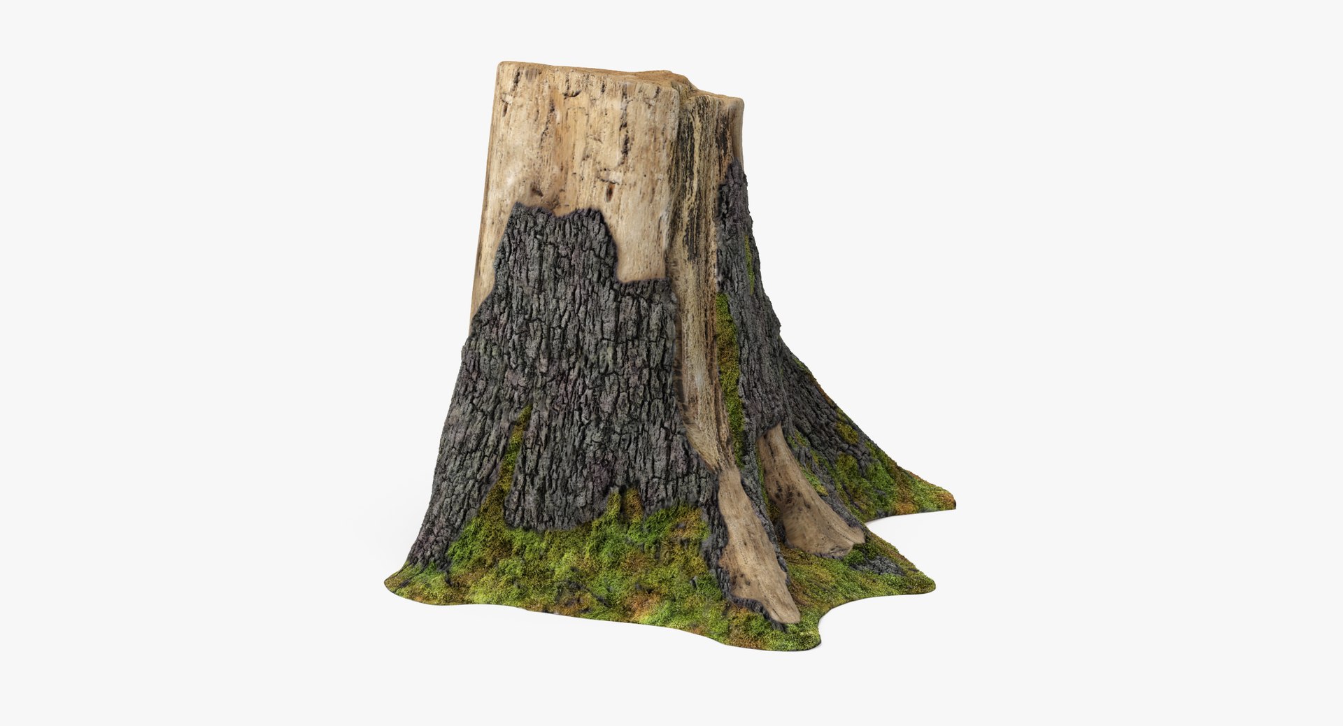 tree stump 02 3d obj