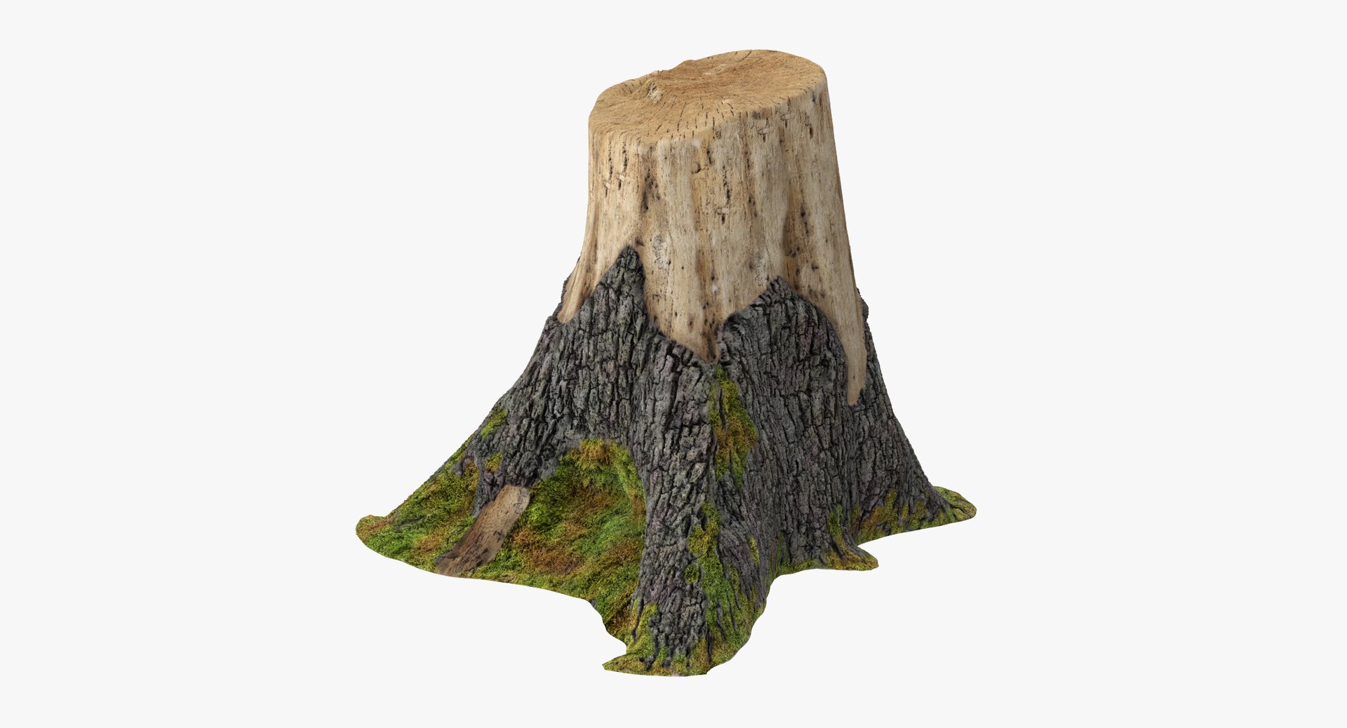 tree stump 02 3d obj