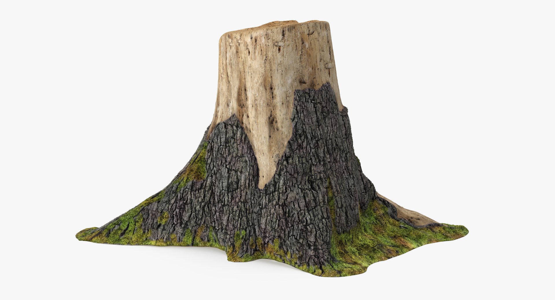 tree stump 02 3d obj