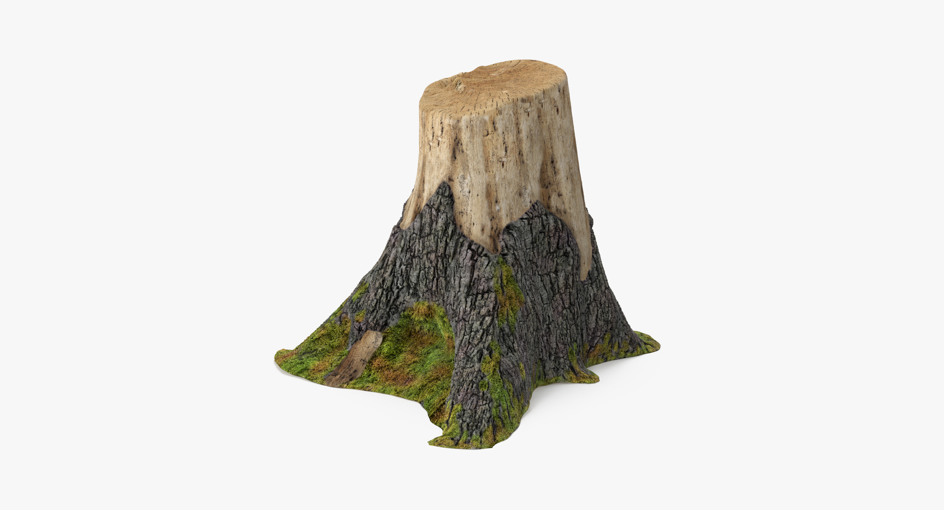 tree stump 02 3d obj