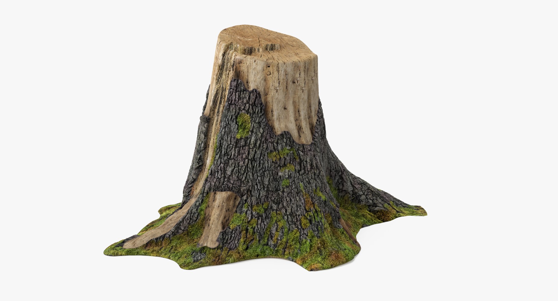 tree stump 02 3d obj