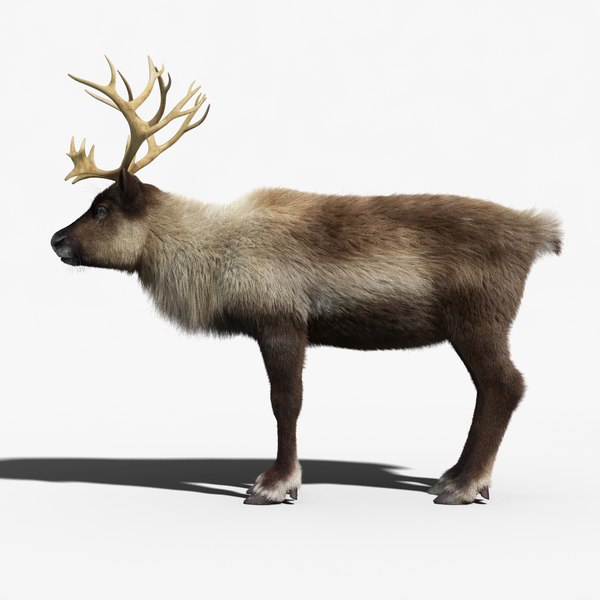 3d max reindeer fur