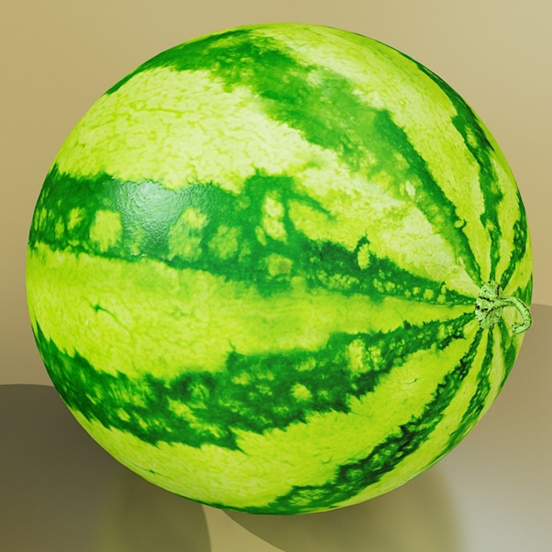 3d melon water watermelon model