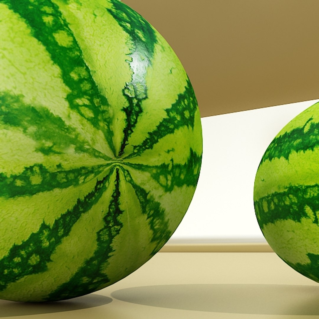 3d melon water watermelon model