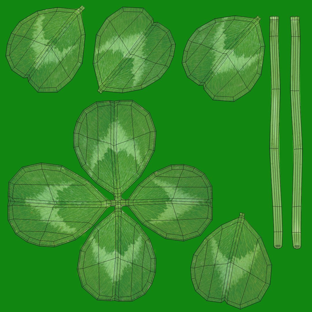 Clover 1 3D Model - TurboSquid 1300456