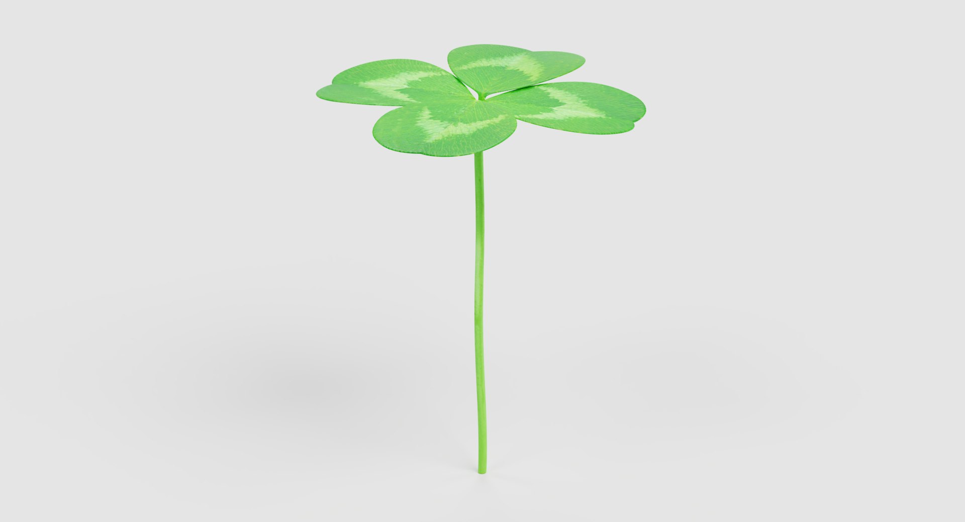 Clover 1 3D Model - TurboSquid 1300456