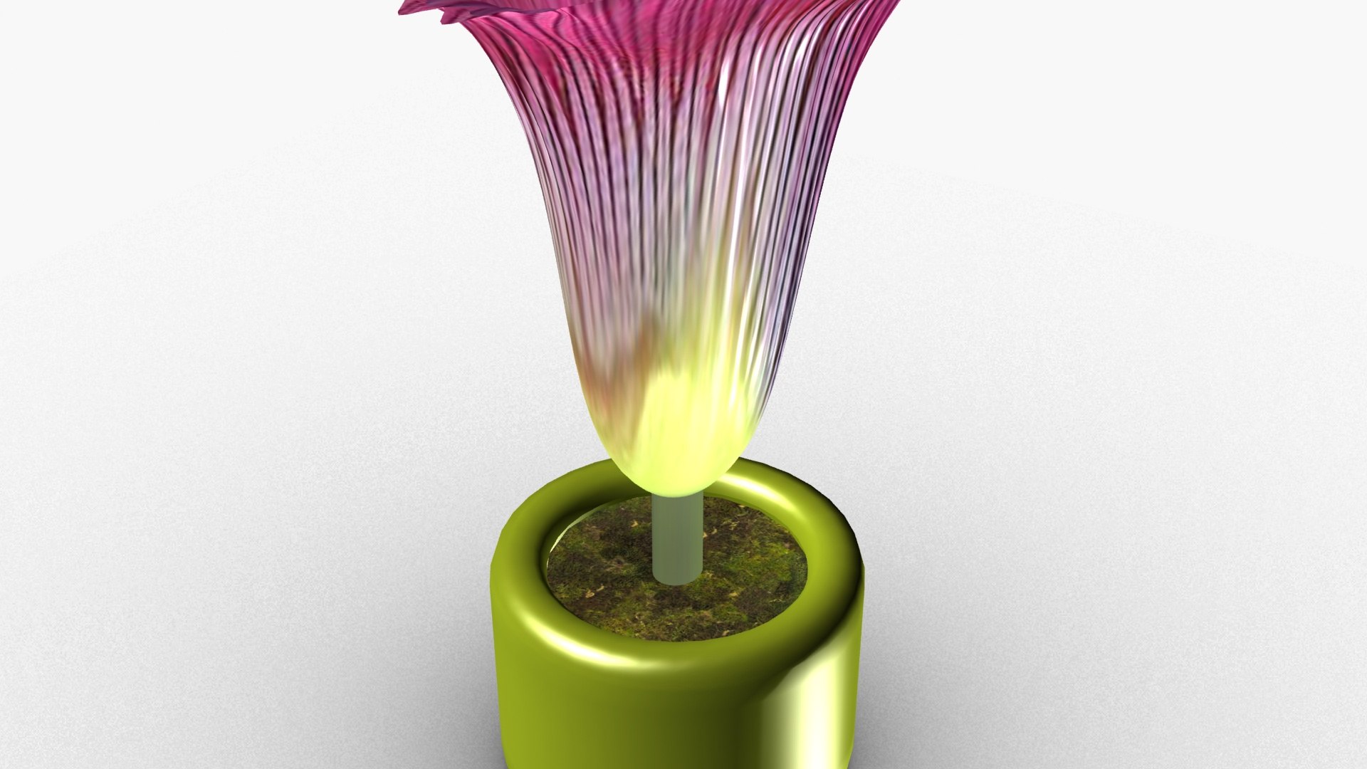 Corpse Flower 3D Model - TurboSquid 1622561