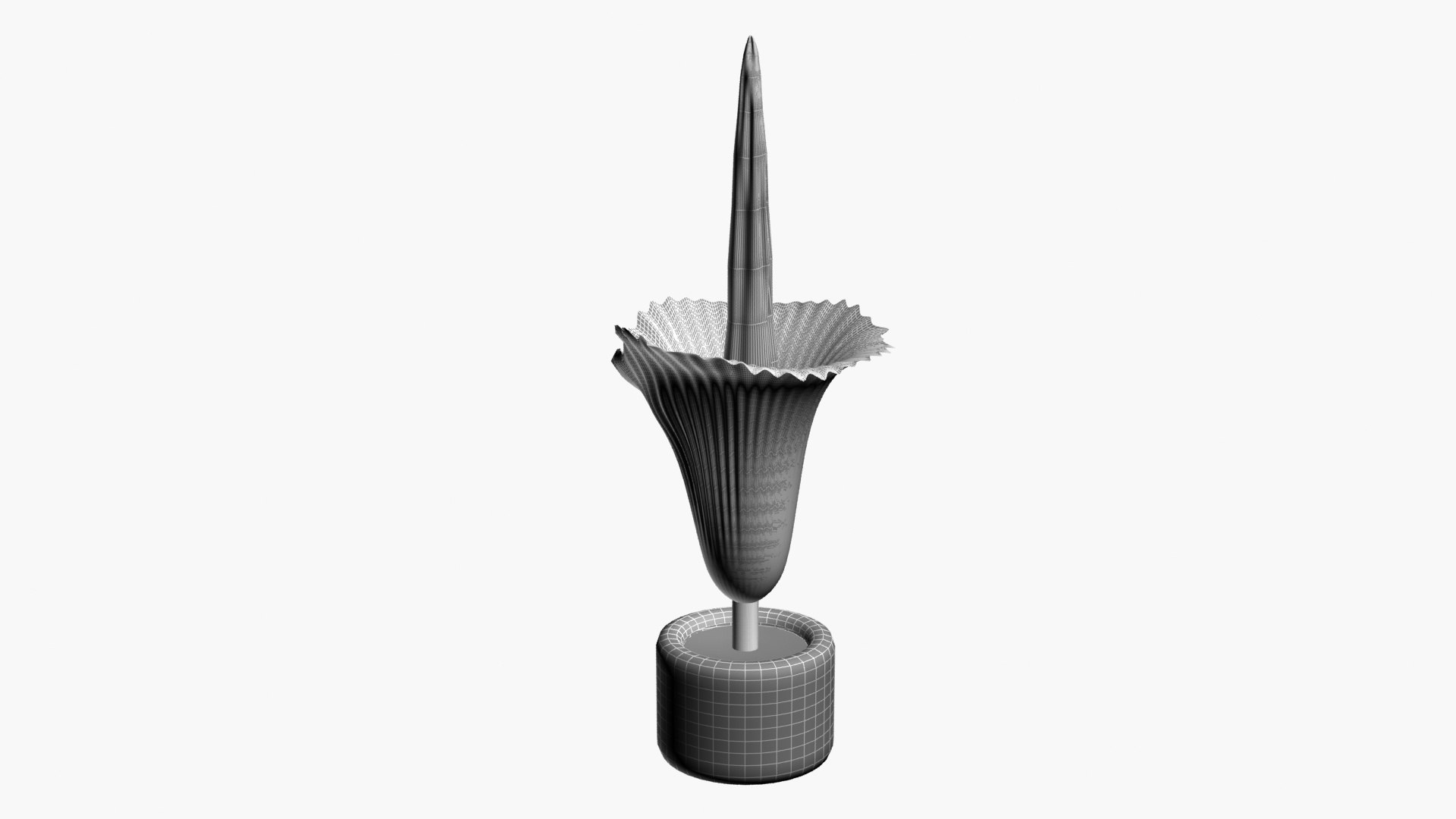 Corpse Flower 3D Model - TurboSquid 1622561