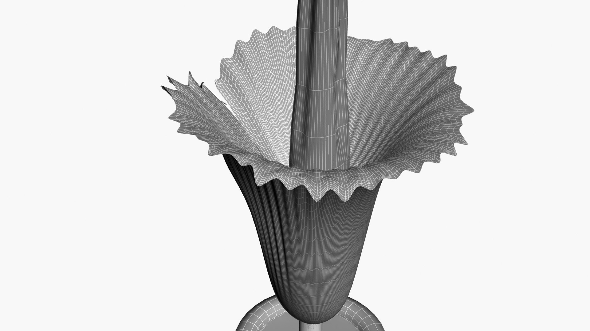 Corpse Flower 3D Model - TurboSquid 1622561