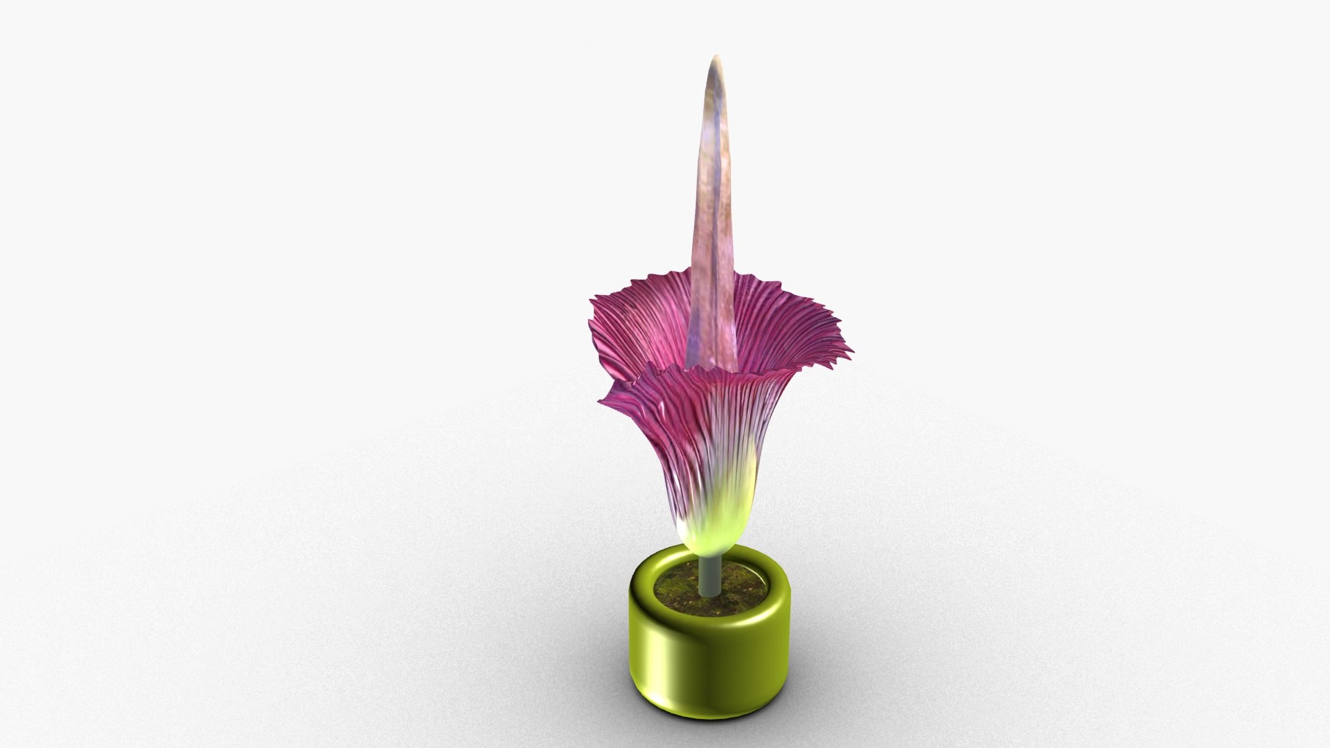 Corpse Flower 3D Model - TurboSquid 1622561