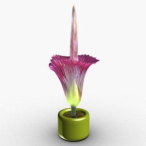 3D water flower model - TurboSquid 1520002