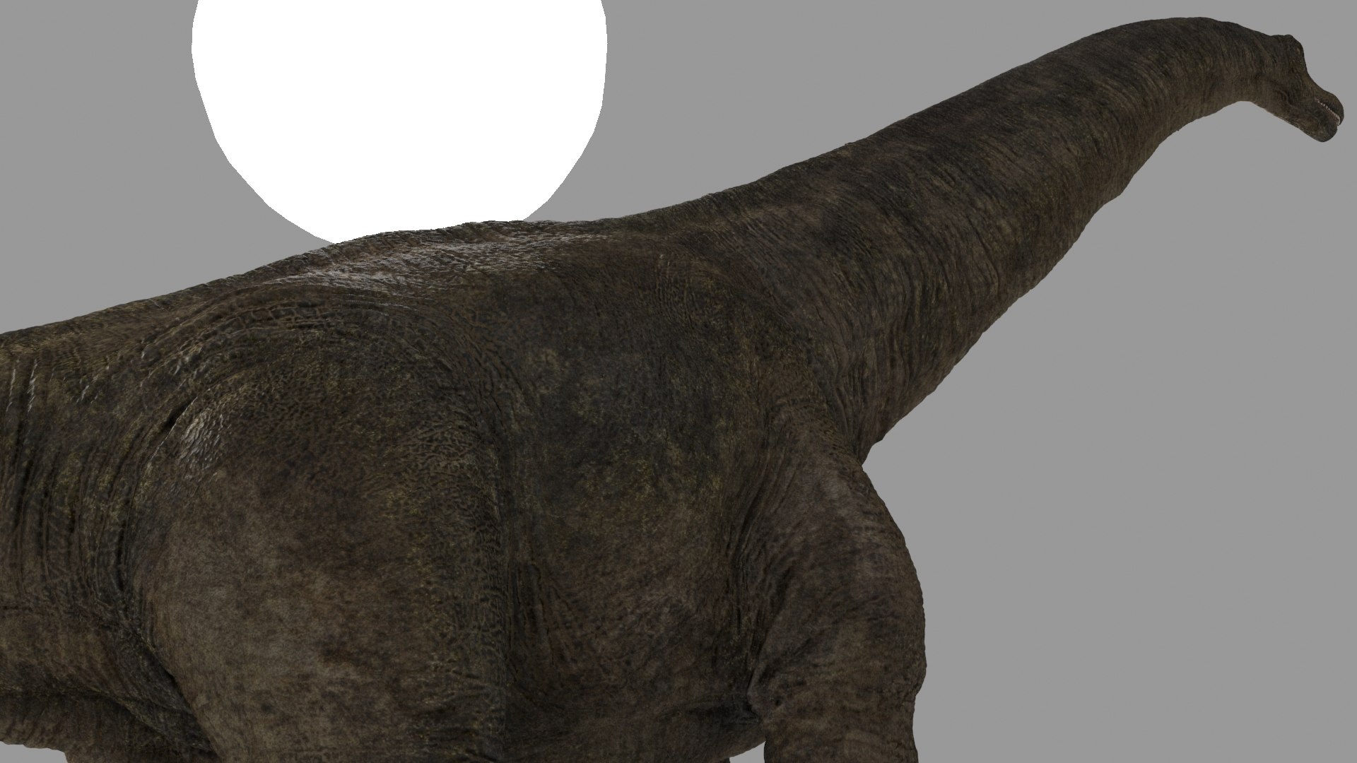 3D Model Alamosaurus - TurboSquid 1209433