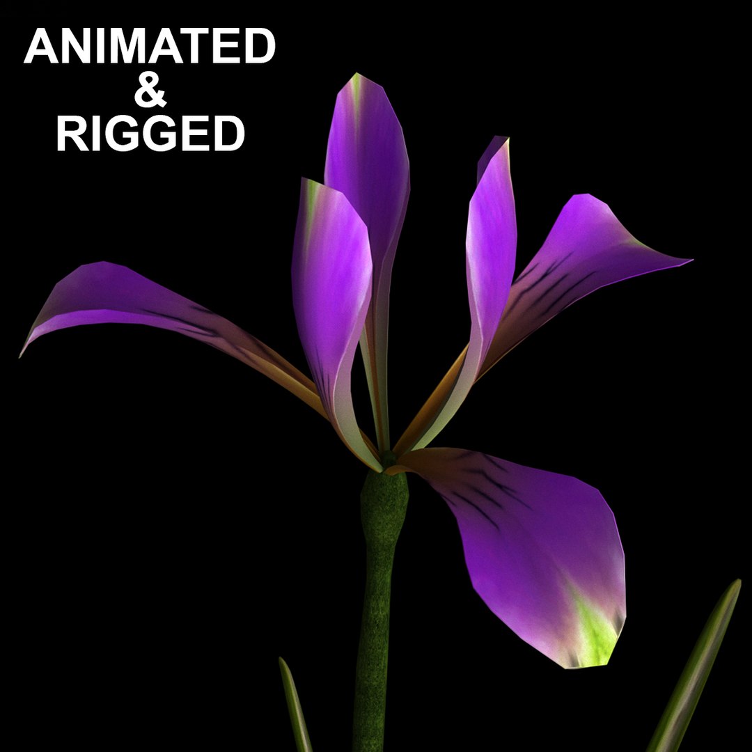 Flowers animation 3D model - TurboSquid 1603291