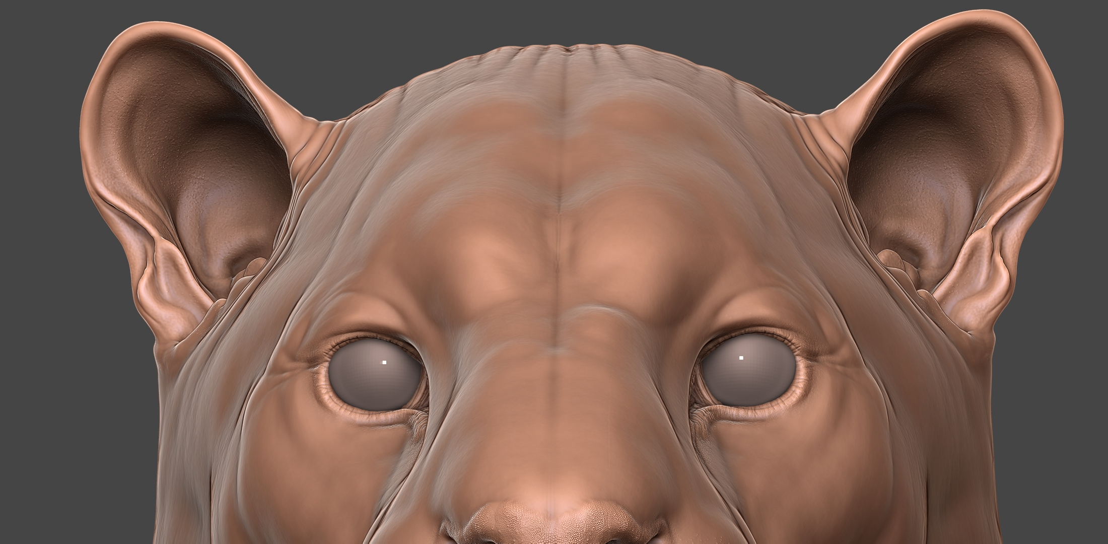 3D Fully Detailed Jaguar Zbrush Sculpt model - TurboSquid 1855676