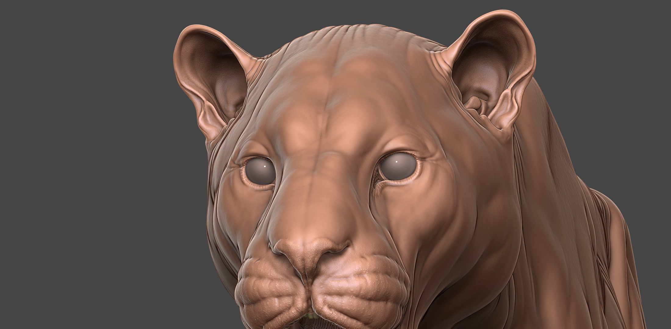 3D Fully Detailed Jaguar Zbrush Sculpt model - TurboSquid 1855676