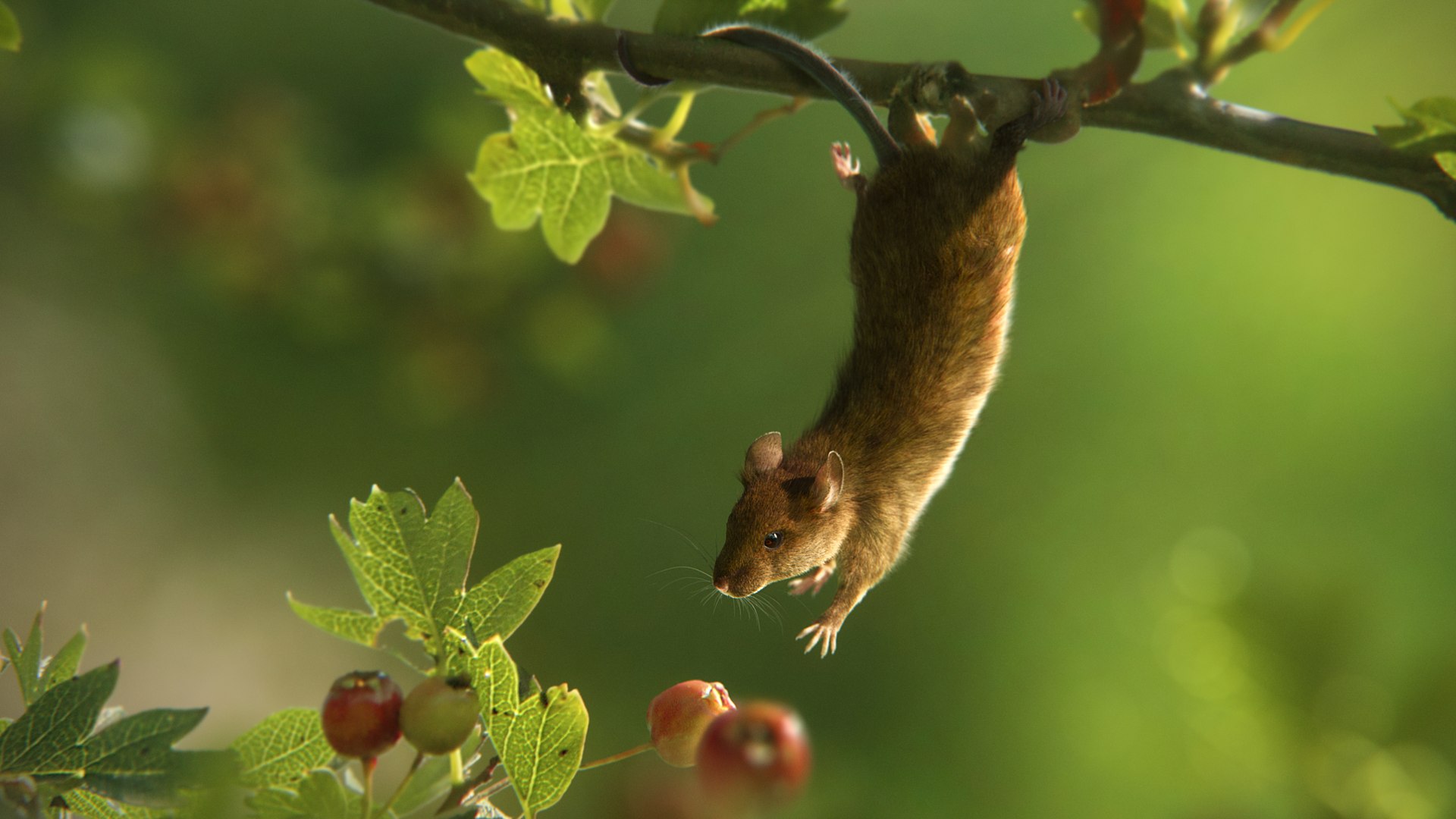 3D Rat Mouse Animated - TurboSquid 2004229