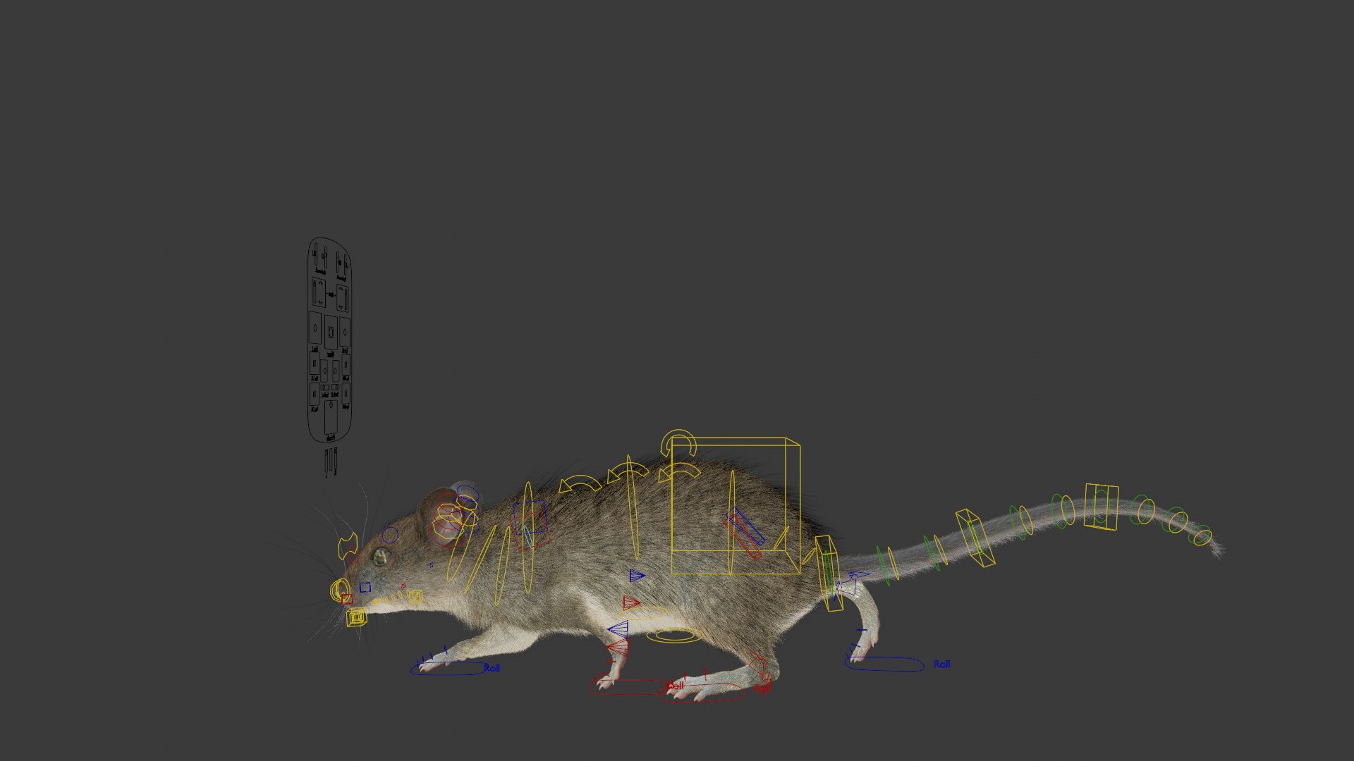 3D Rat Mouse Animated - TurboSquid 2004229