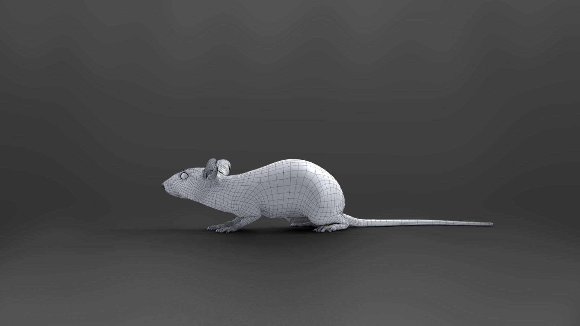 3D Rat Mouse Animated - TurboSquid 2004229