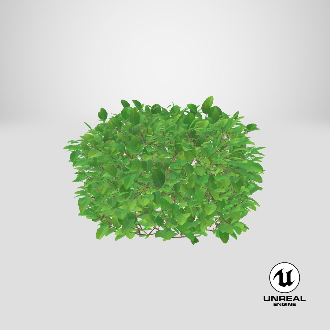 3D Model Cartoon Bush 06 - TurboSquid 1941424