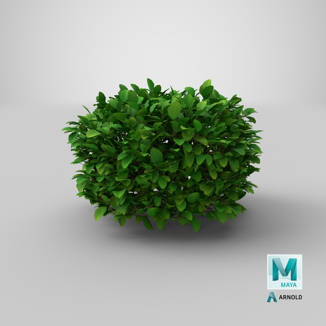 3D Model Cartoon Bush 06 - TurboSquid 1941424