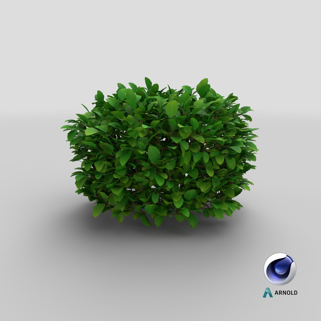 3D Model Cartoon Bush 06 - TurboSquid 1941424