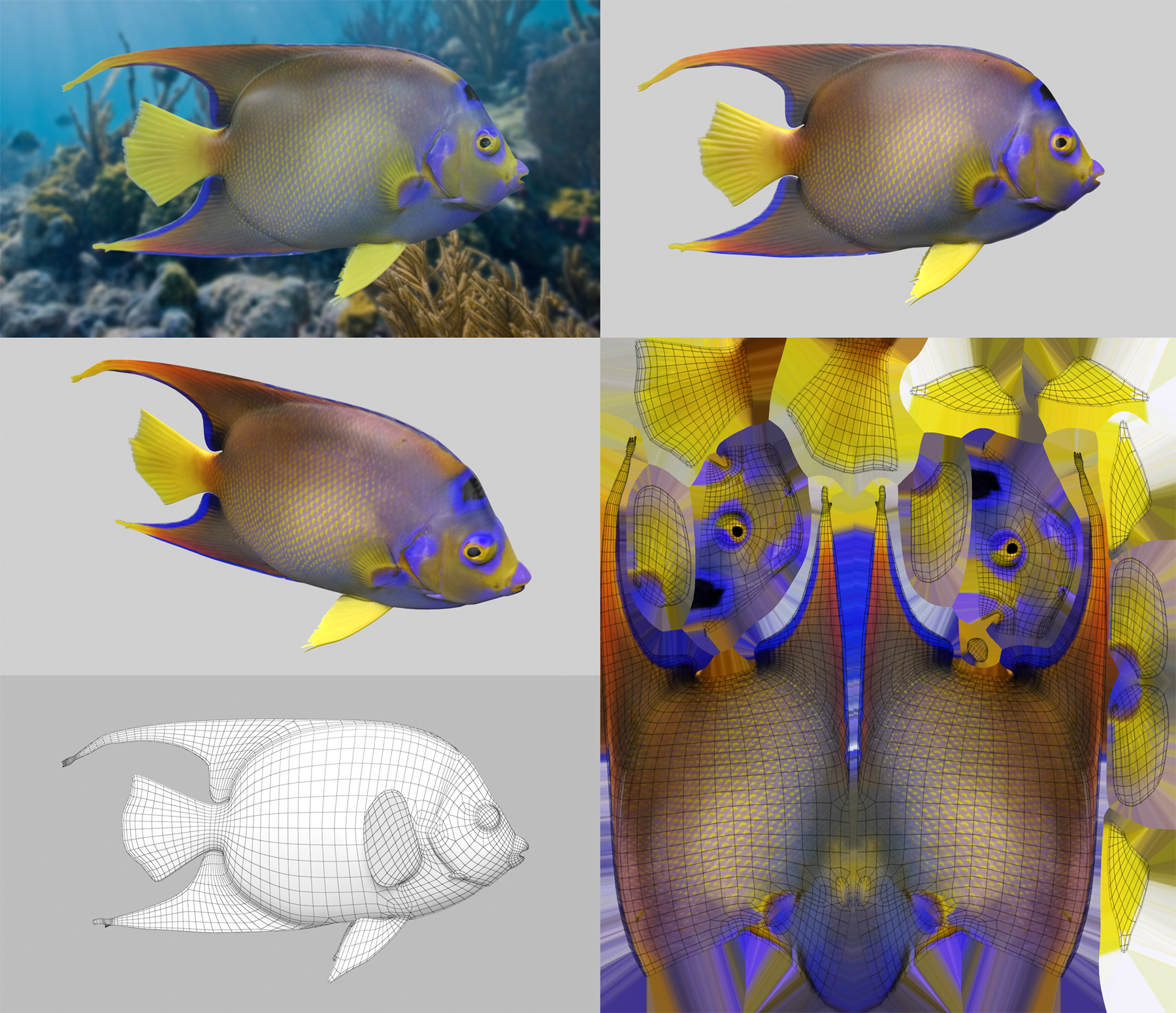 modelo 3d Colección de peces 04 - TurboSquid 1984721
