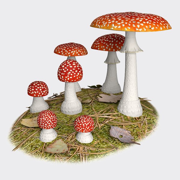 fly agaric 3d model