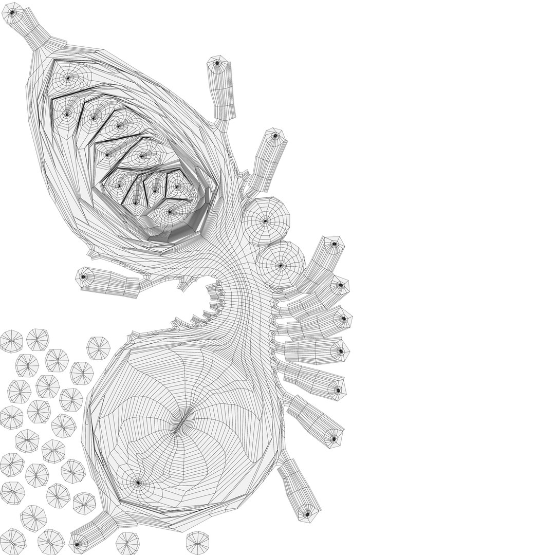 3D Comb - TurboSquid 2214559