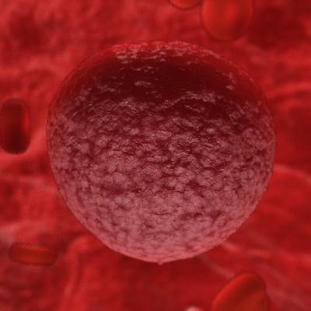T-cell Leukemia Virus Cell 3d Model