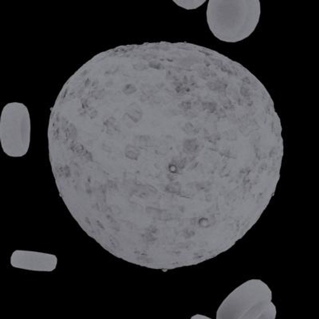T-cell Leukemia Virus Cell 3d Model