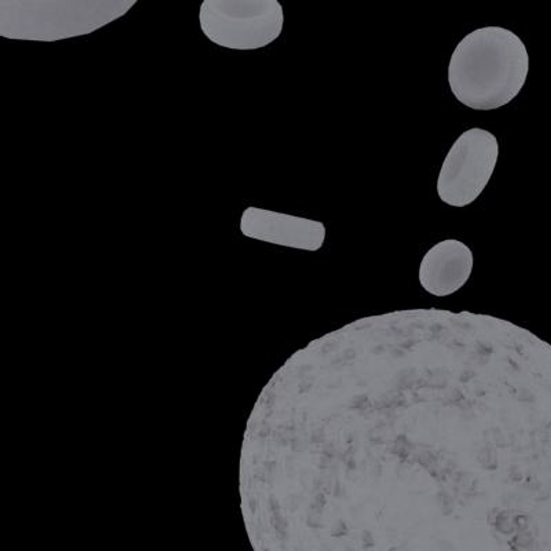 T-cell Leukemia Virus Cell 3d Model