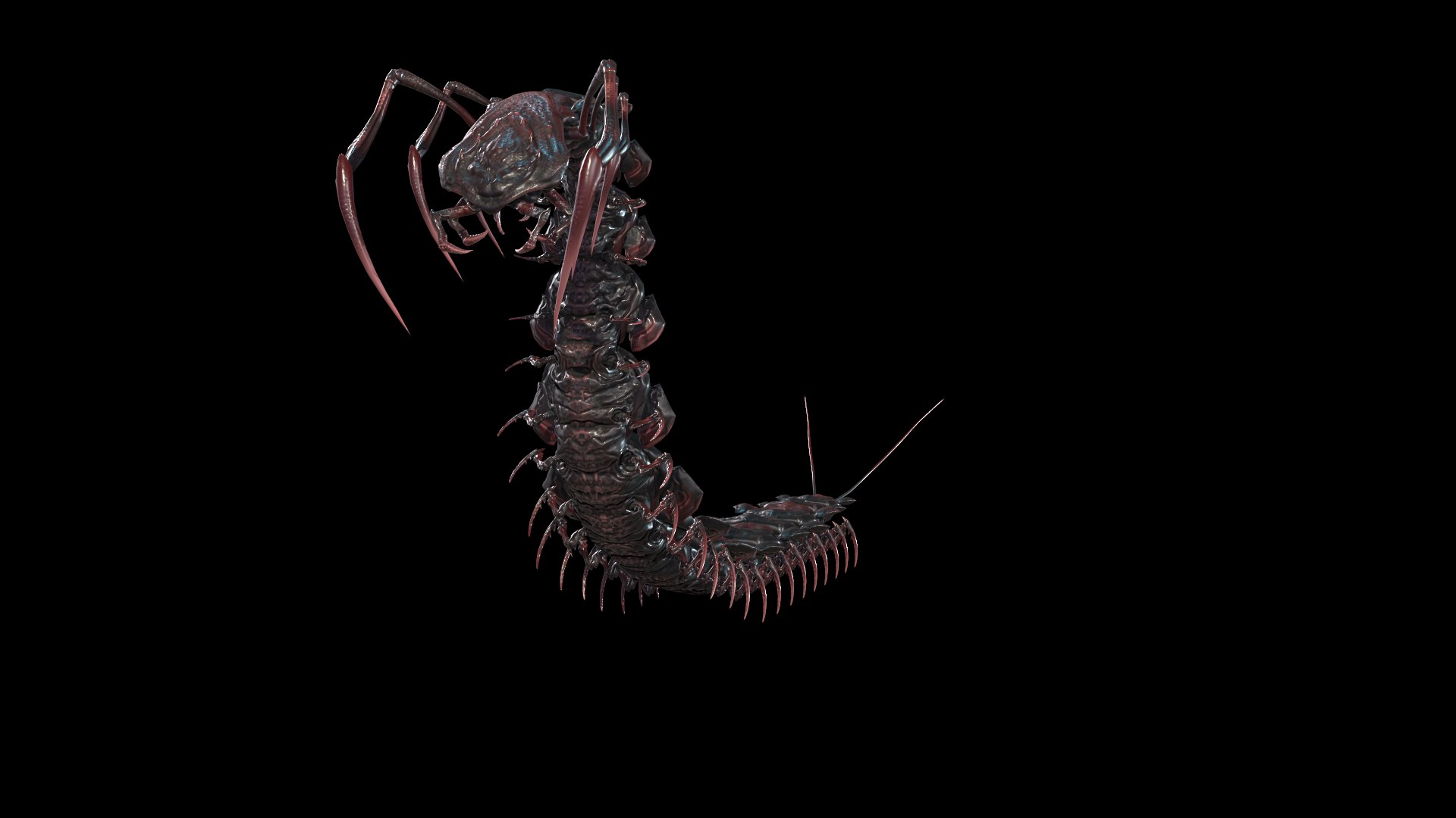 3D Centipede - TurboSquid 1742016